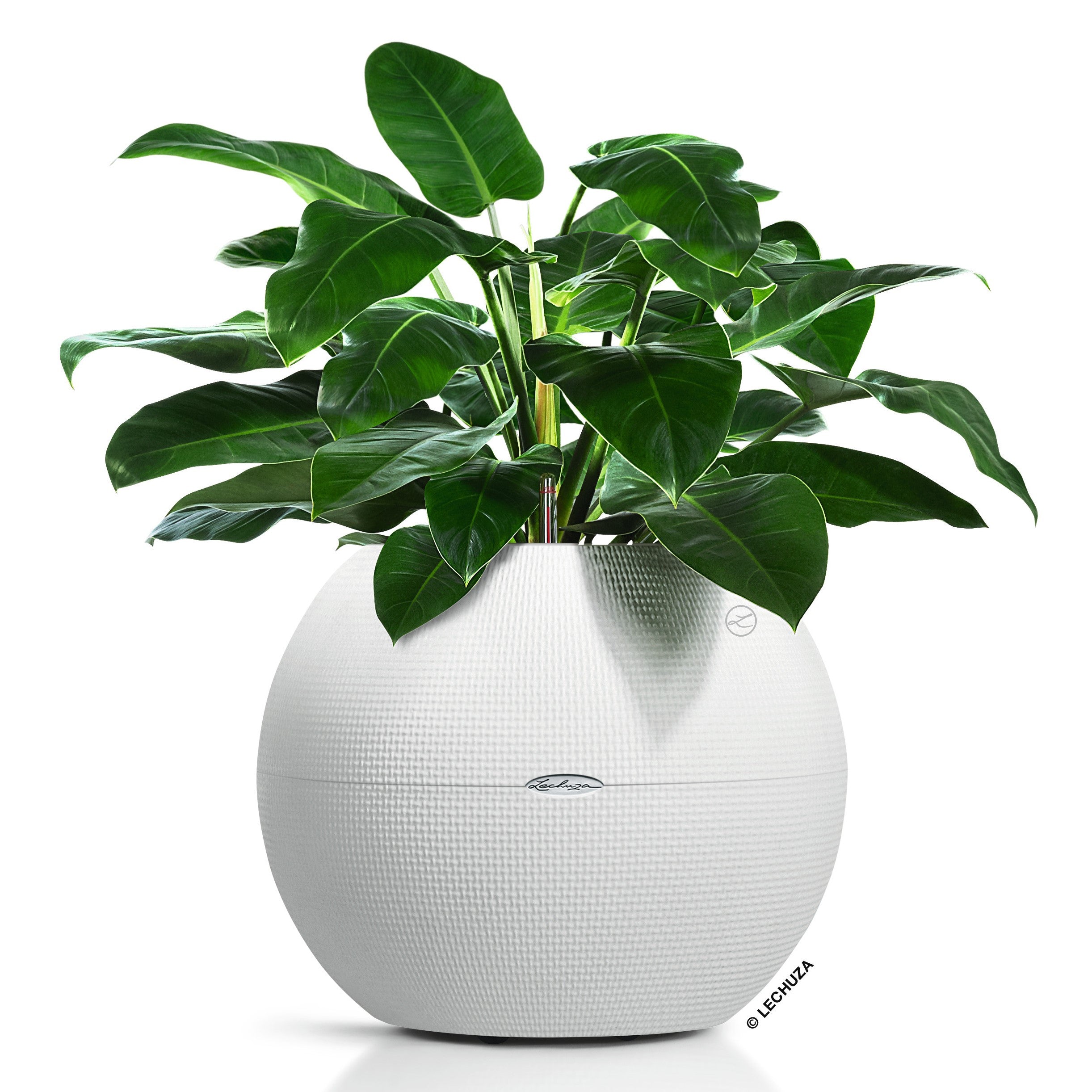 PURO Color 50 – Lechuza Planters